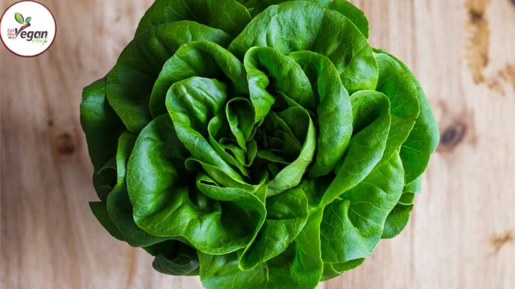 Butter Lettuce 101: Everything You Need to Know About This Tender Green ...